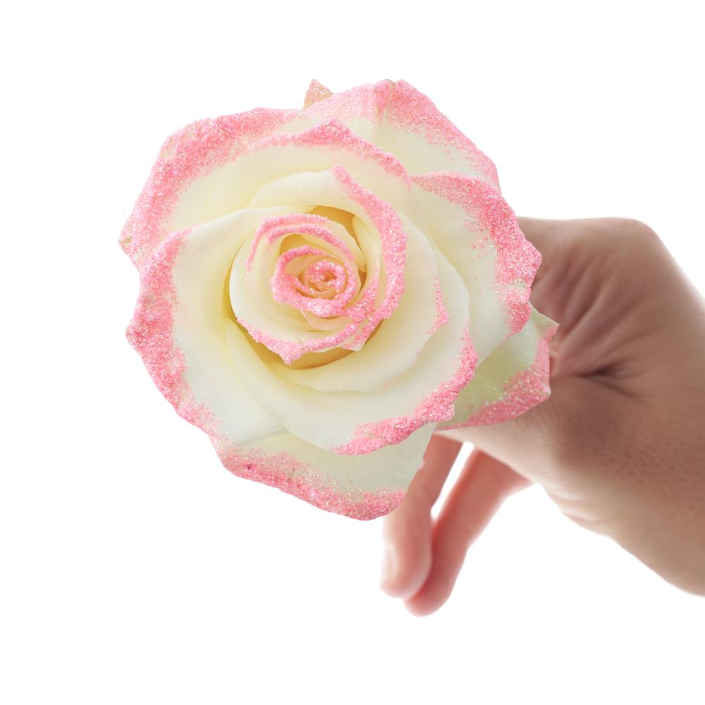 Pink Suger – Agrinag
